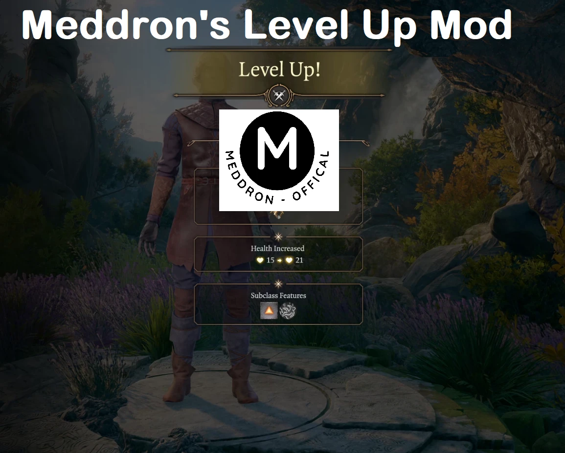 Baldur''s Gate 3 Meddron's Max Level Changer