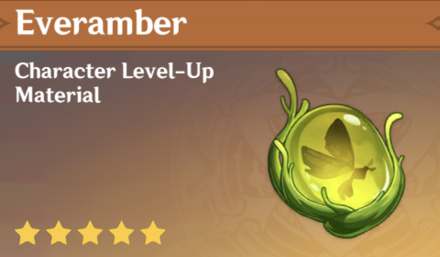 How to Get and Use Everamber